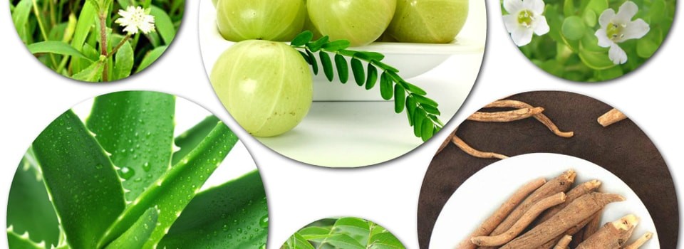 Top 10 Ayurvedic Treatments For Hair Loss Prevention Ayunature Care